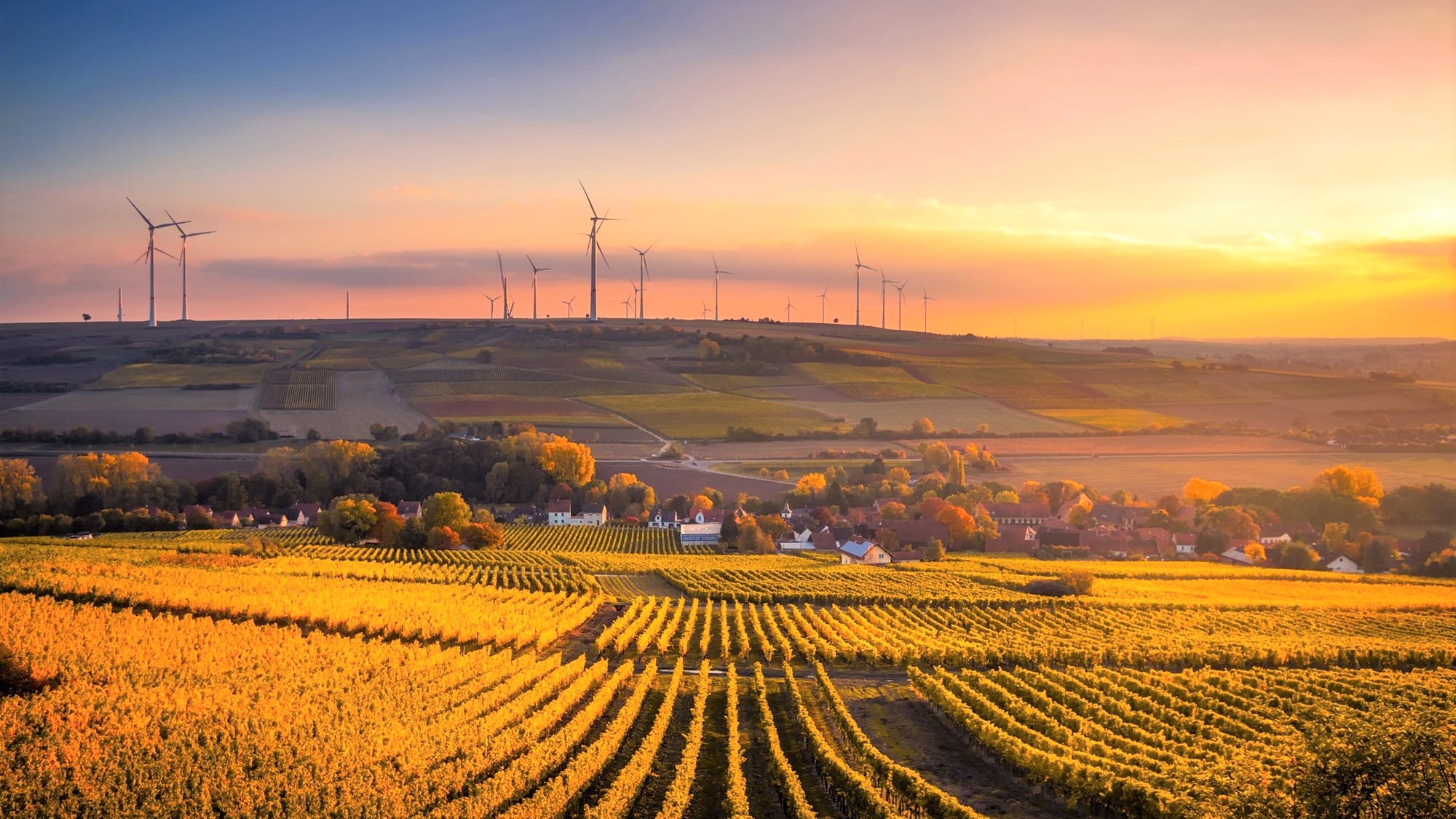 Infinity Certification GmbH – Anlagenzertifikate und ...